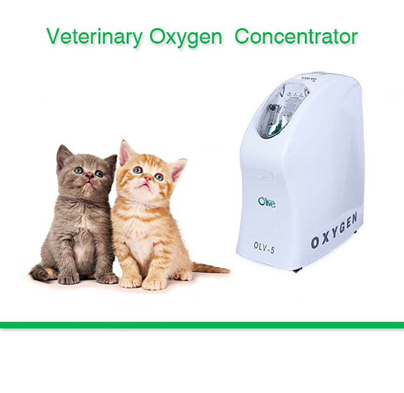 Cat Oxygen Concentrator