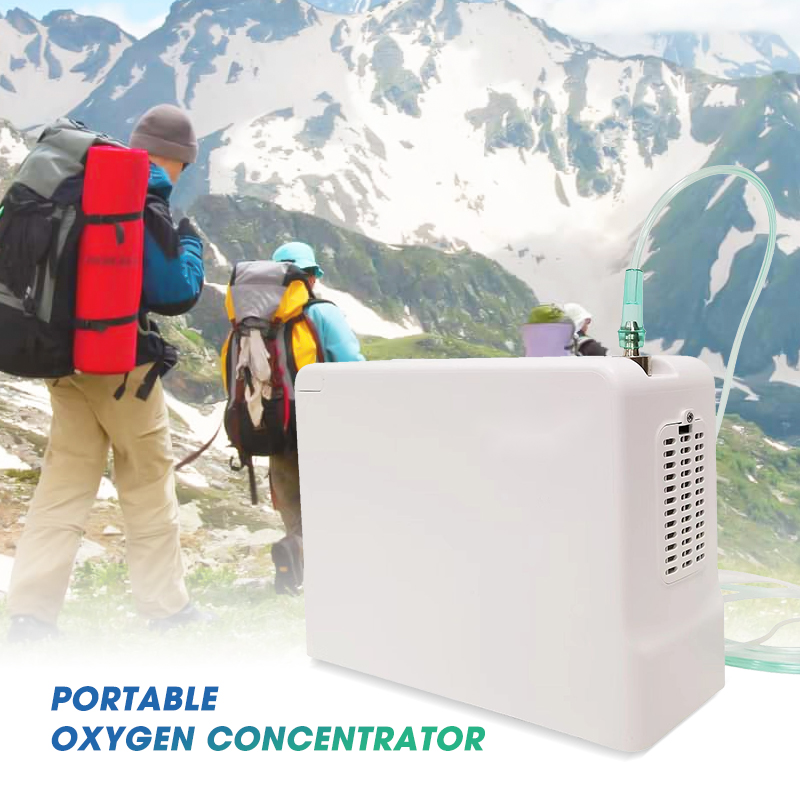 Home and Travel Pulse Portable Oxygen concentrator Small Medical ...